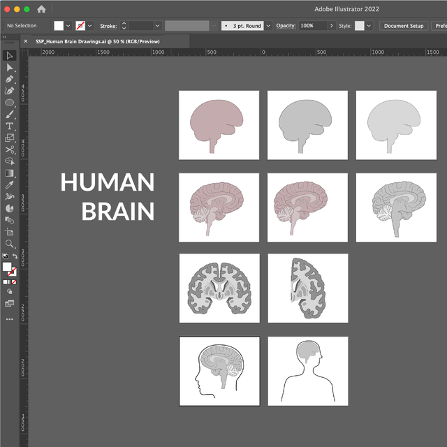 how to draw brain in illustrator