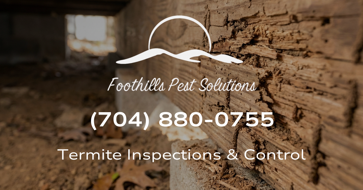 Top-Rated Termite Inspections, Treatment & Bonds in Sawmills, NC
