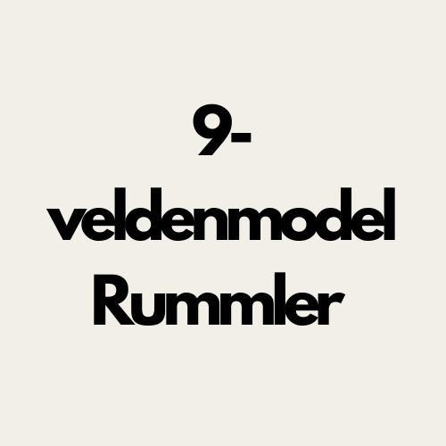 9-veldenmodel Rummler uitleg | voorbeeld