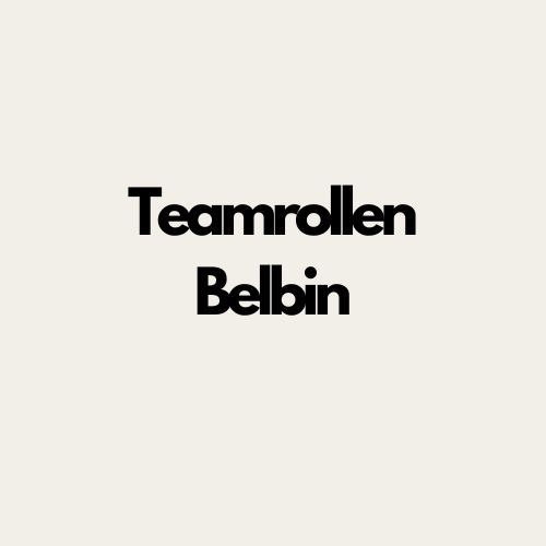 Belbin teamrollen uitleg | voorbeeld