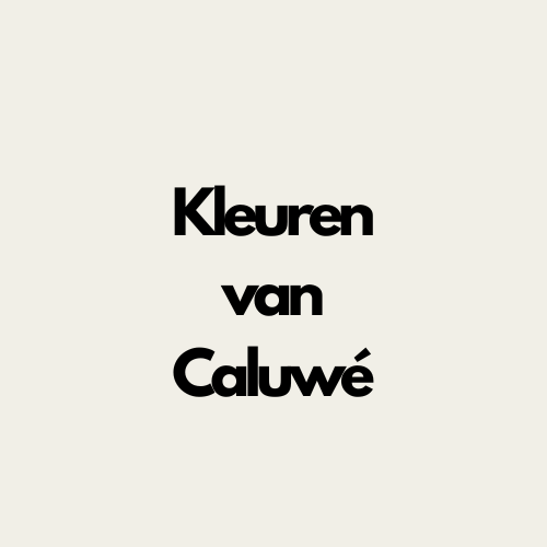 Kleuren van Caluwé uitleg | template | voorbeeld | test(NL)