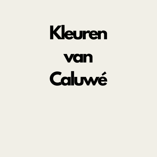 Kleuren van Caluwé uitleg | template | voorbeeld | test(NL)