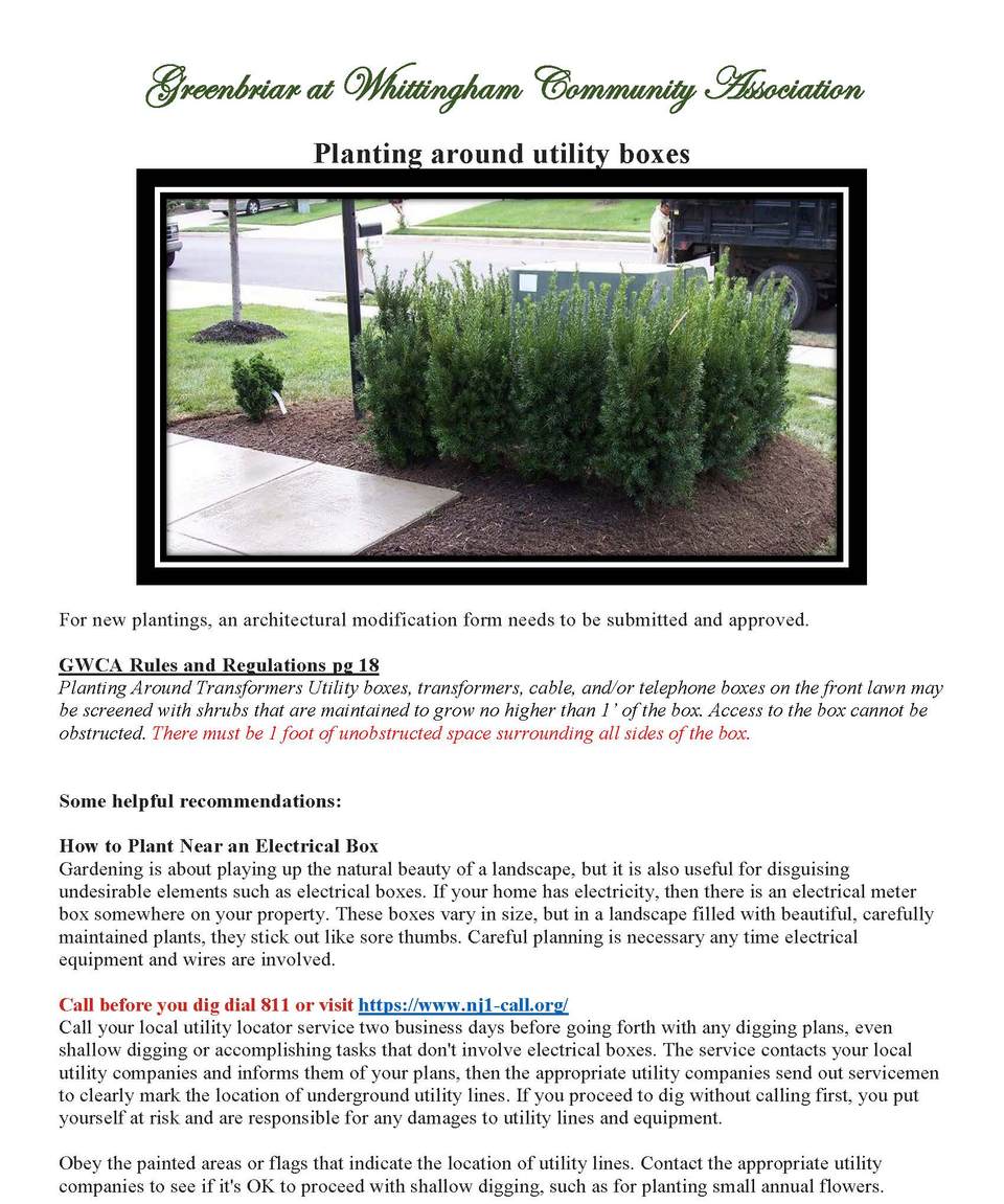 Plants For Around Utility Boxes