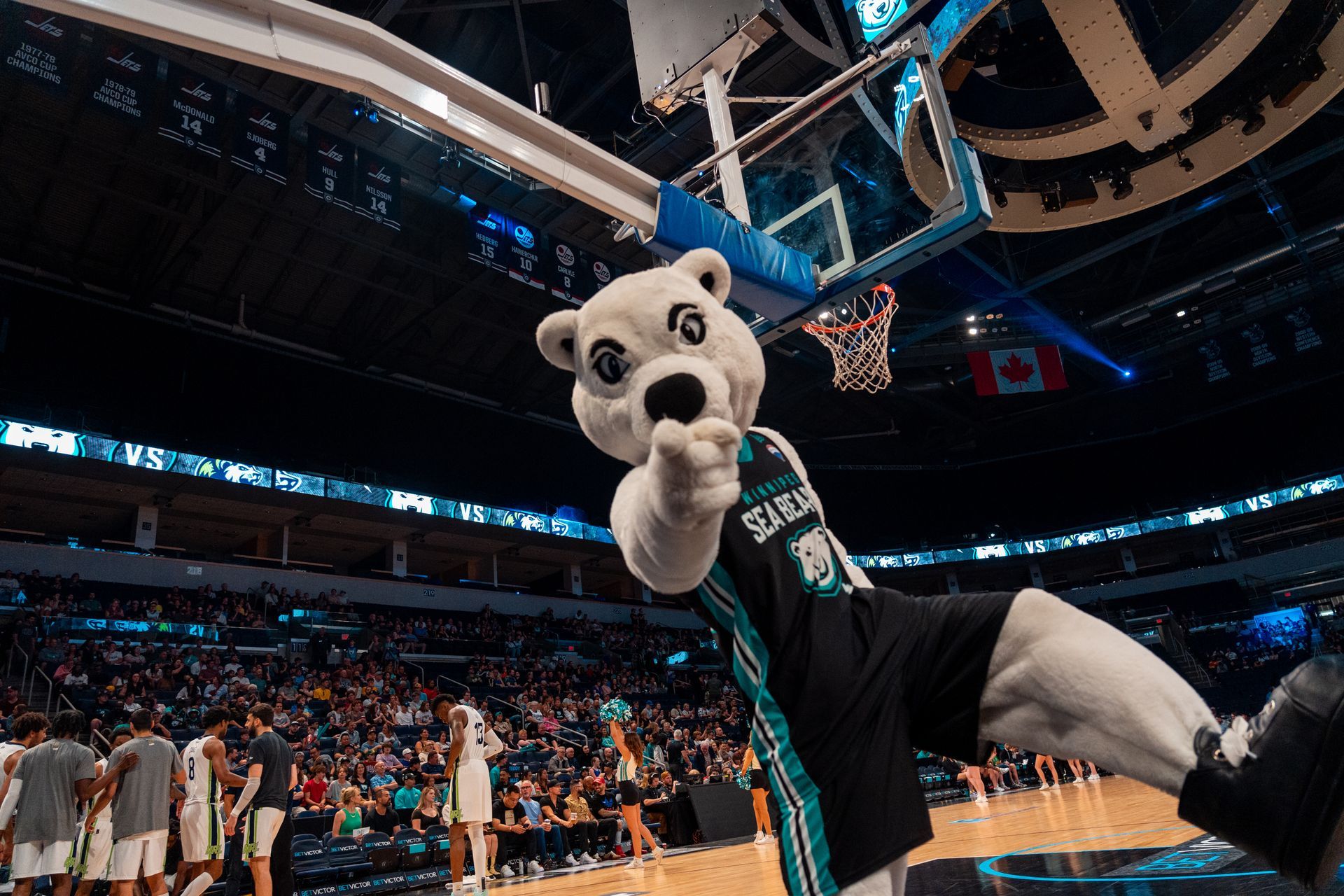 Winnipeg Sea Bears- Canadian Professional Basketball Team