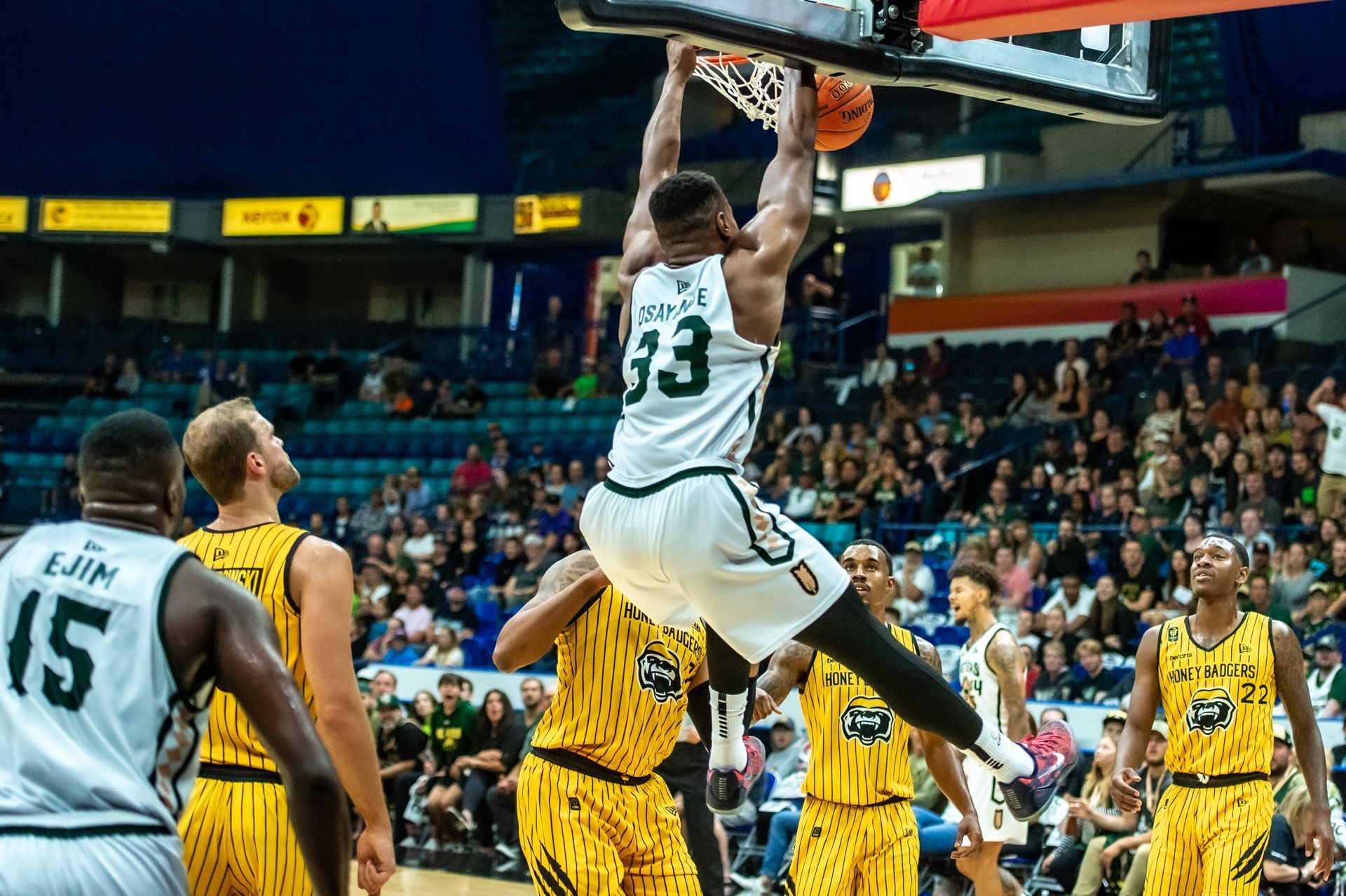 Sea Bears sign second player as organization aims to create winning culture