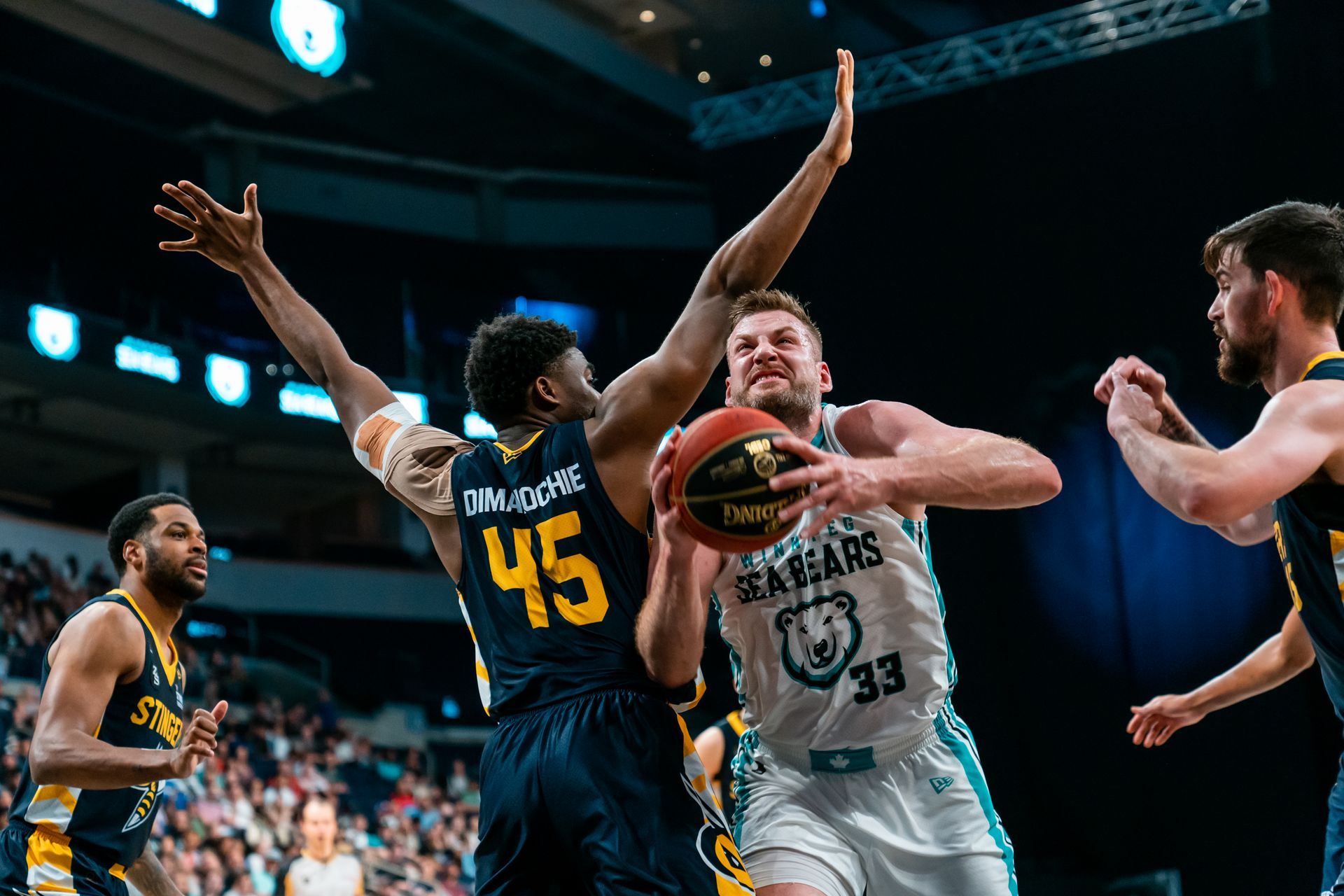 Sea Bears Look to Clinch Top Spot in West in Date with Edmonton Stingers