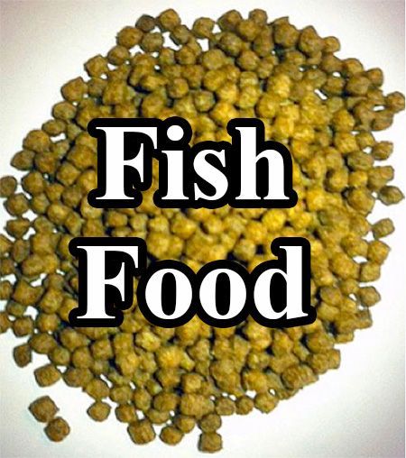 Tilapia Fish Food