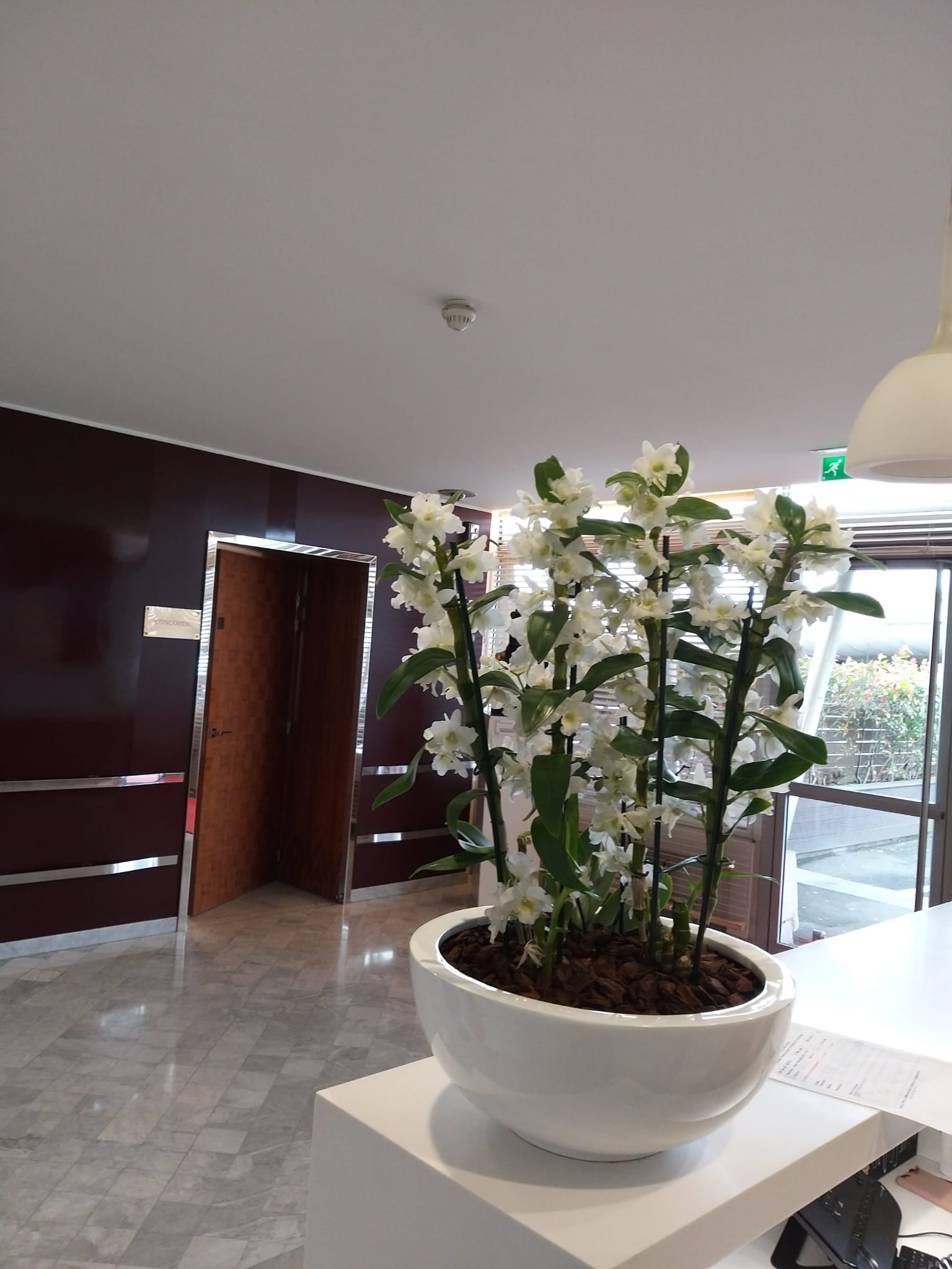 VIP-terminal | Private suite in Paris airports | CDG