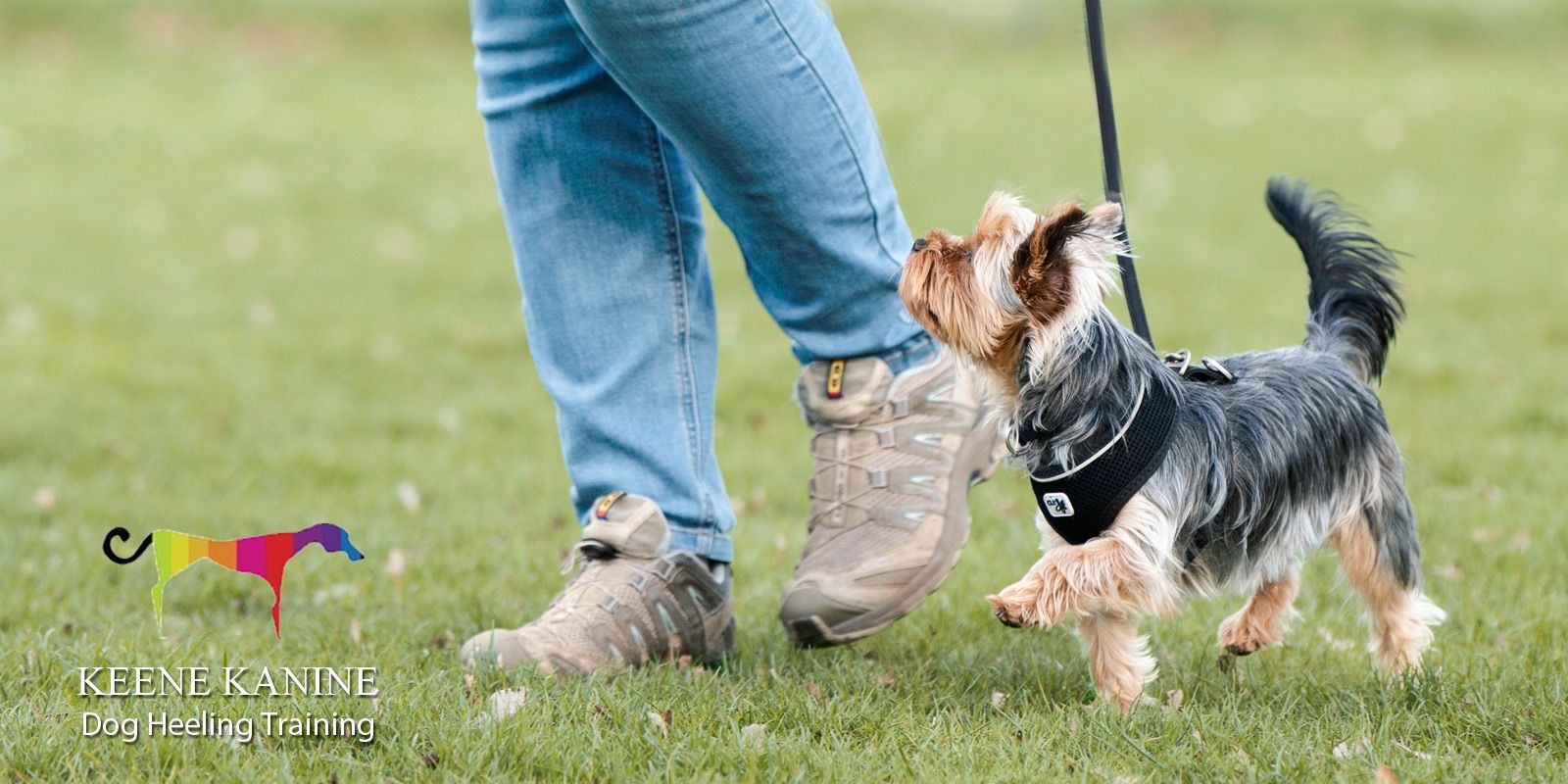 Dog Heel Training by Maureen Keene of Keene Kanine