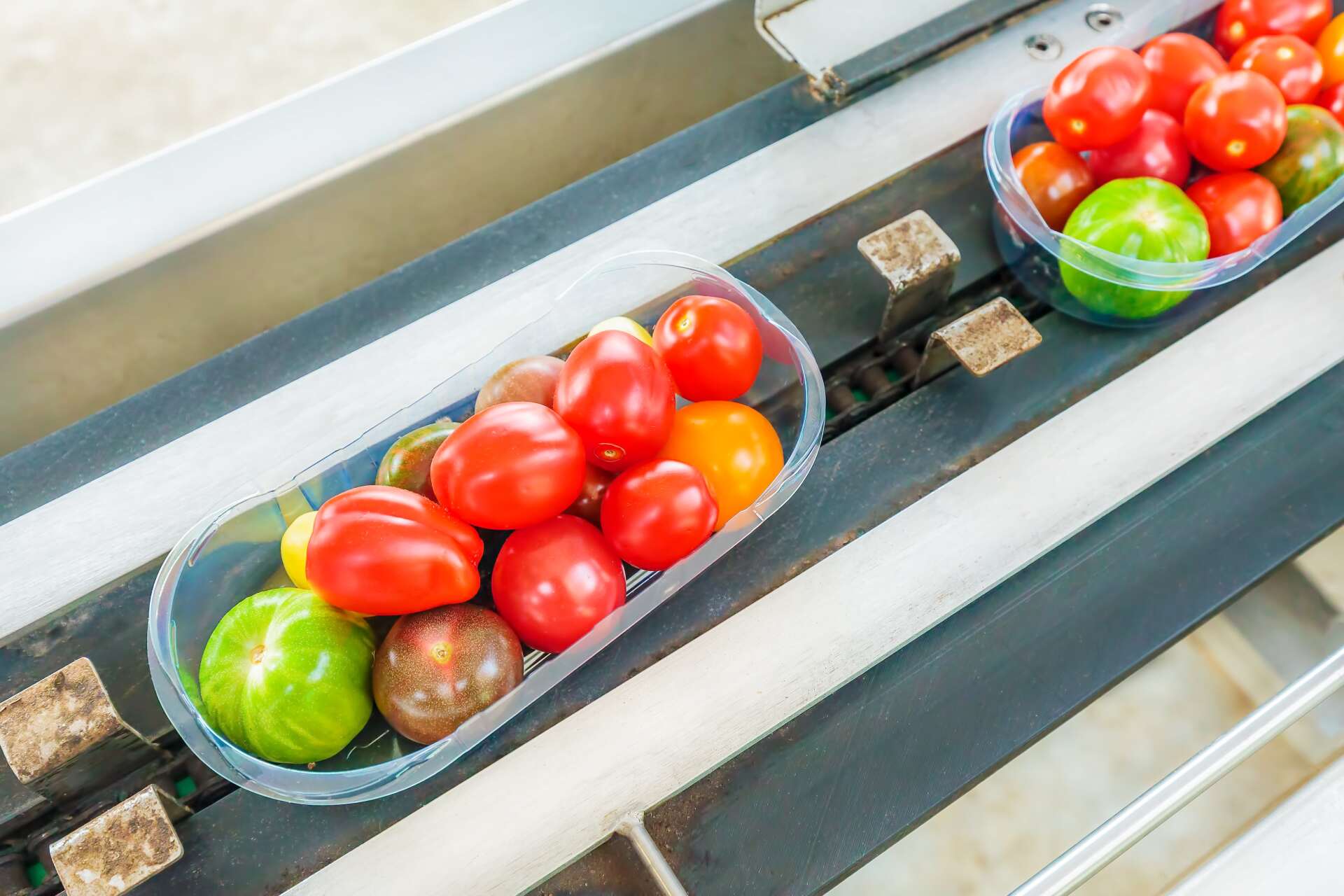 Streamline your business with a vegetable filling machine