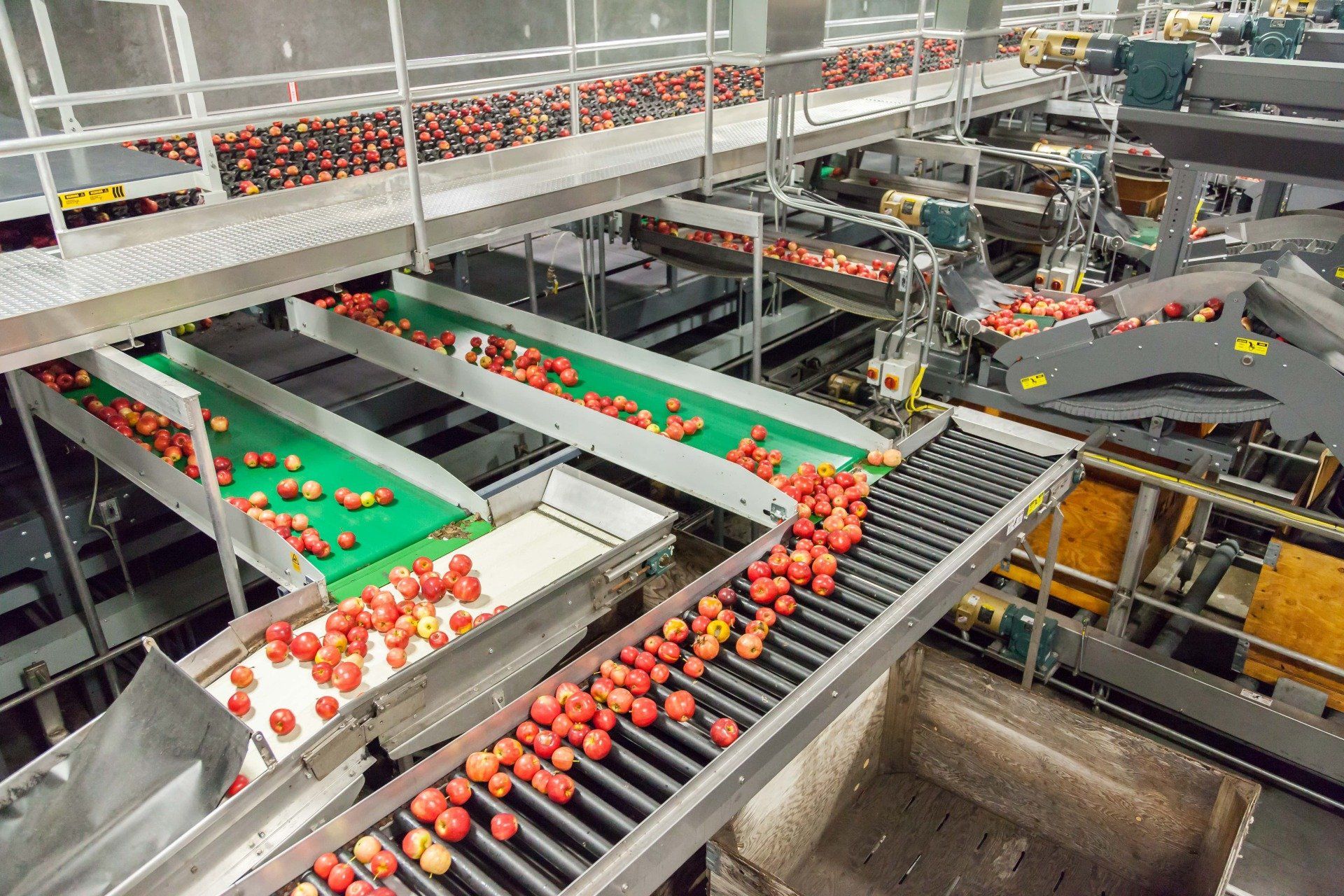 Tips for streamlining your food processing plant