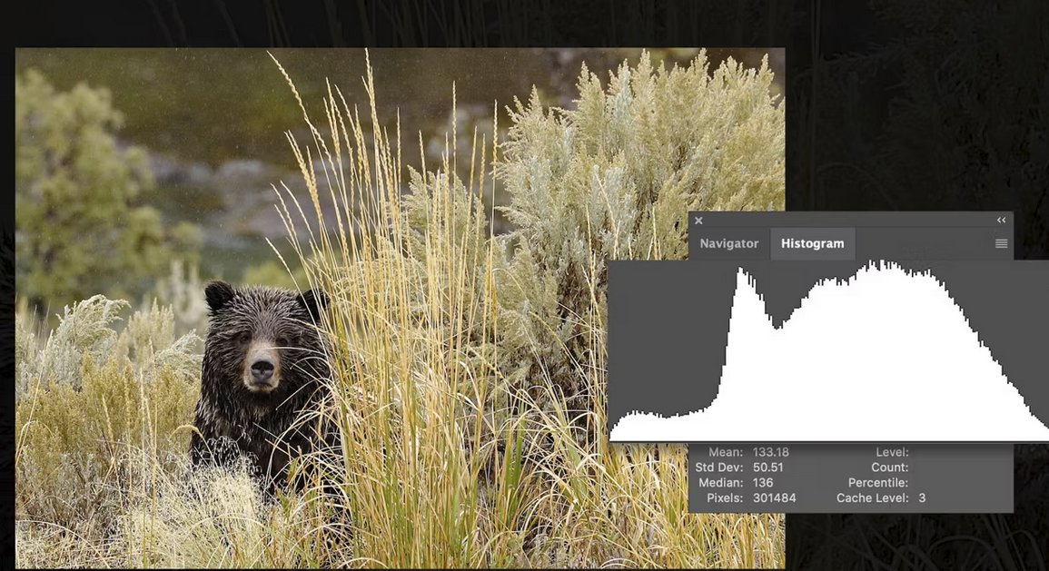 Quick Tips: Use Histogram Data for Great Exposures Quick Tips: Use Histogram Data for Great Exposures