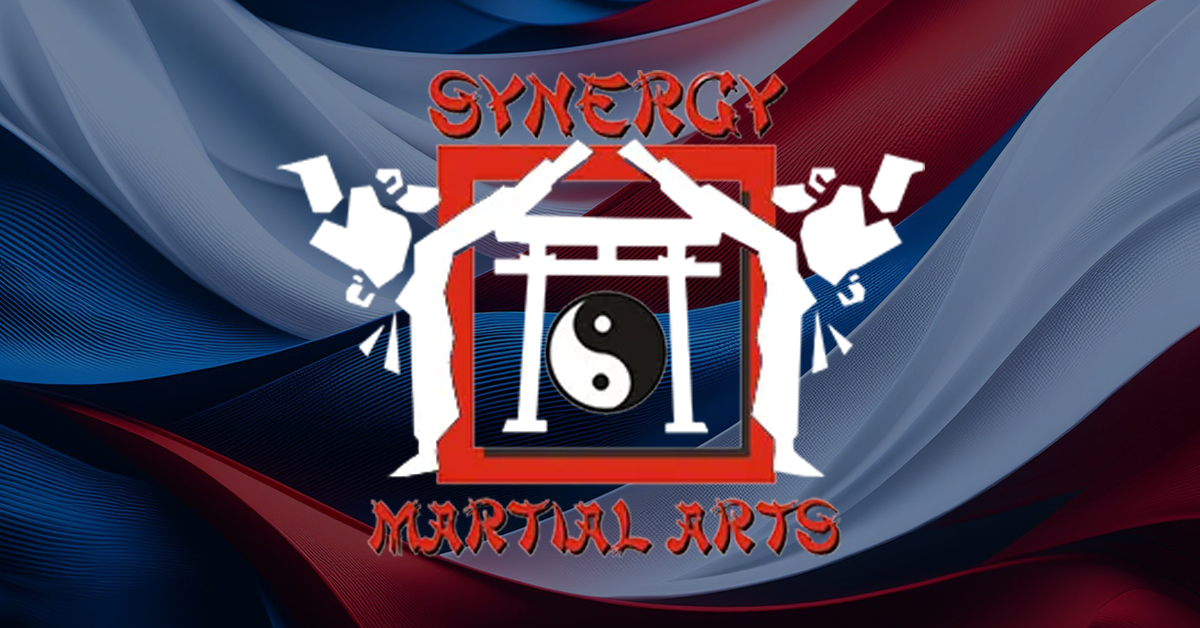 Synergy Martial Arts - Building Confidence & Leadership