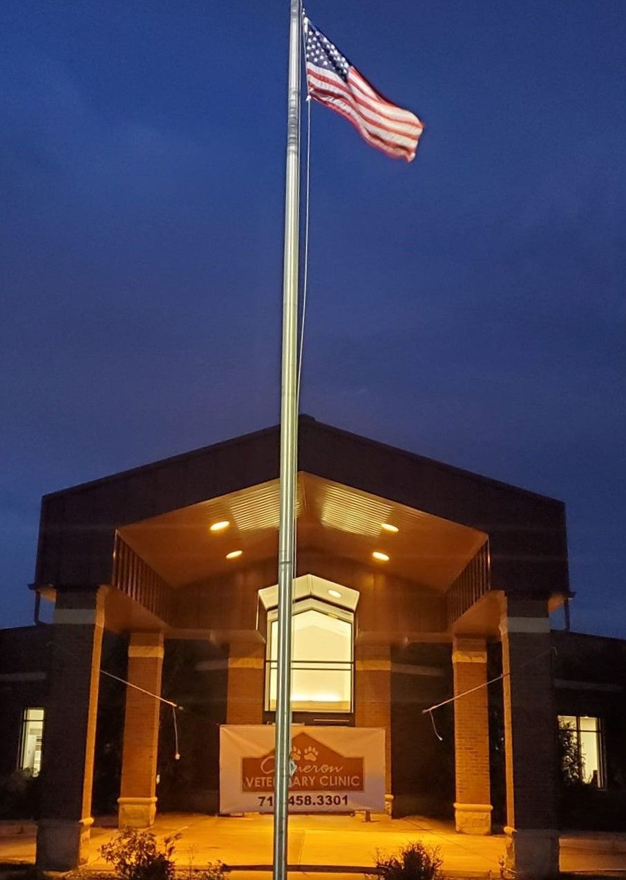 Cameron Veterinary Clinic