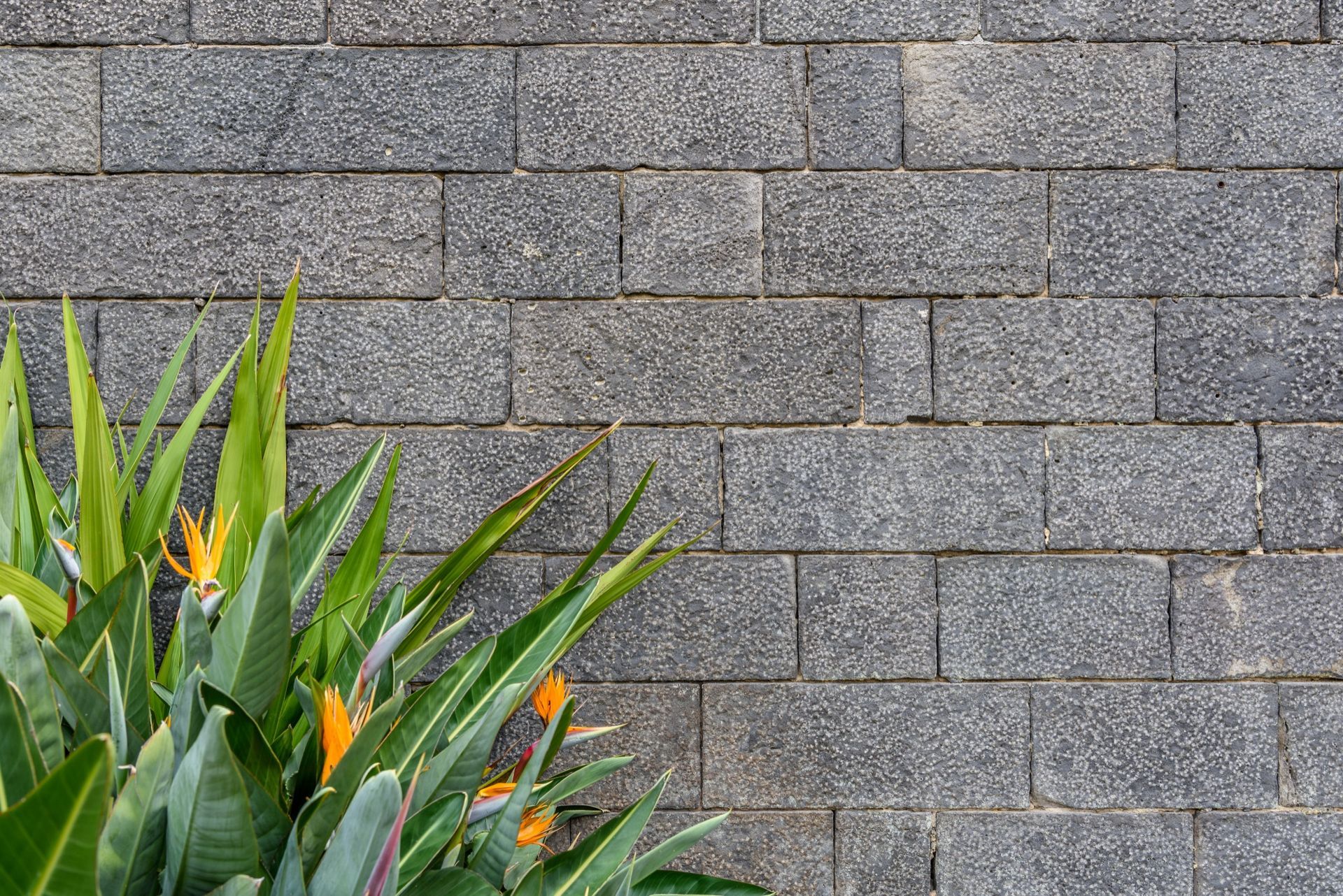 Transform Your Yard: 10 Captivating Retaining Wall Ideas