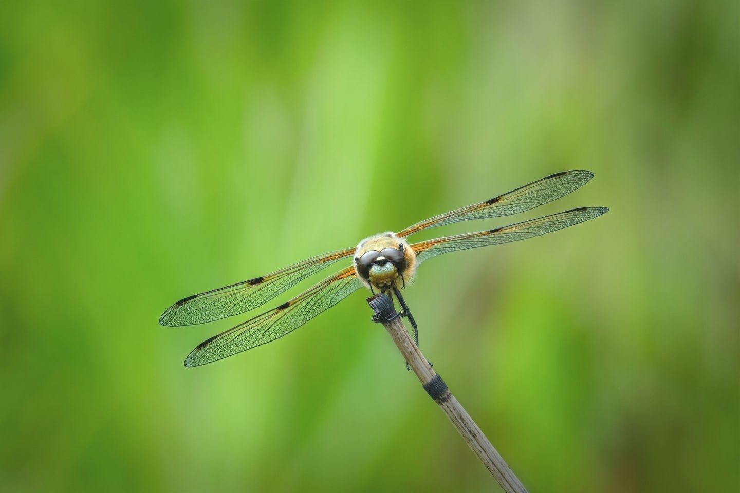 Aperture Woolwich Photographic Society
