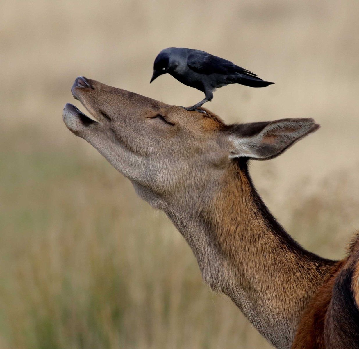 Aperture Woolwich Photographic Society