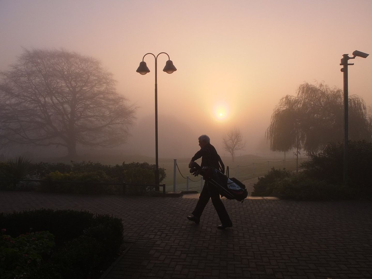 Aperture Woolwich Photographic Society