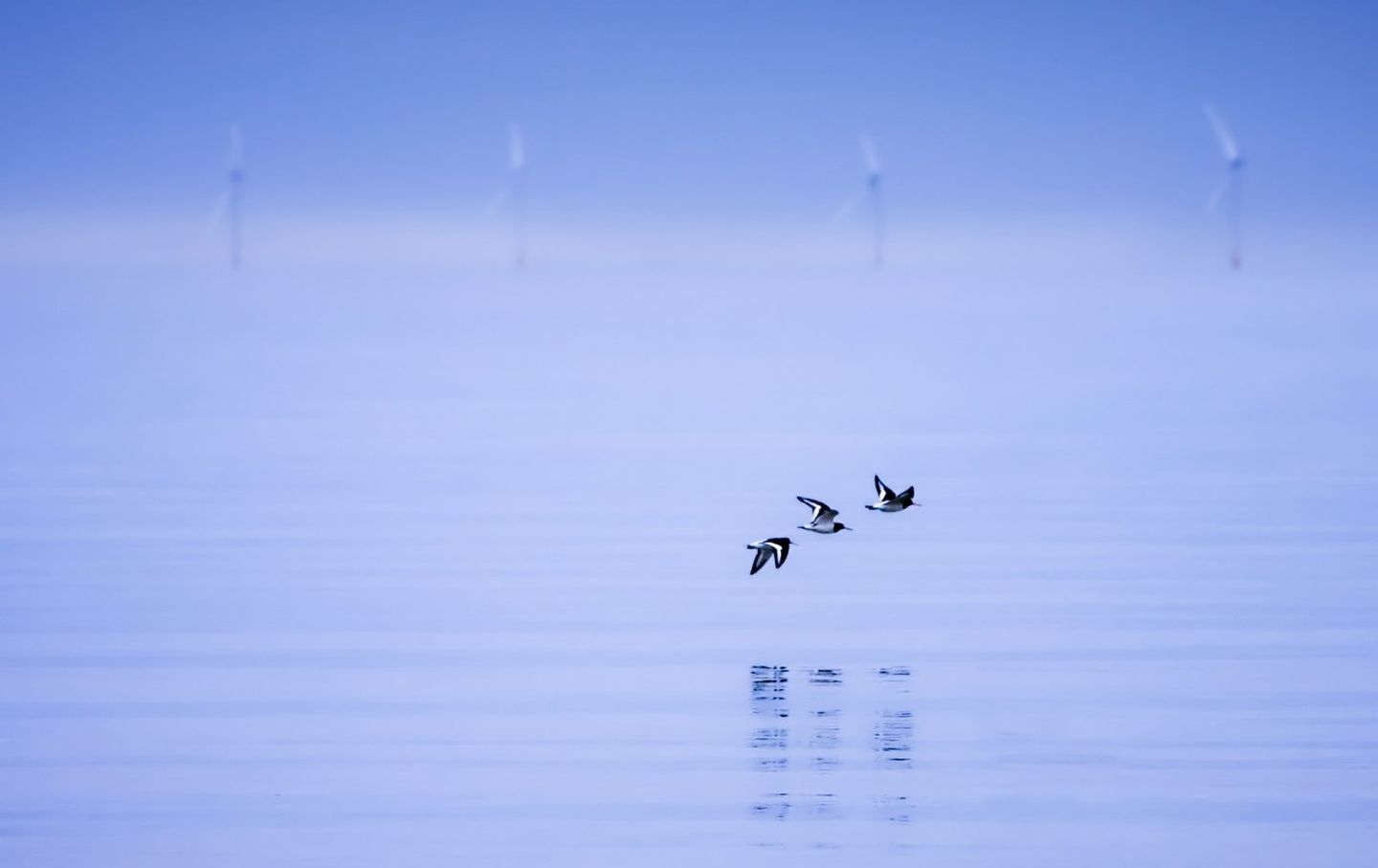 Aperture Woolwich Photographic Society