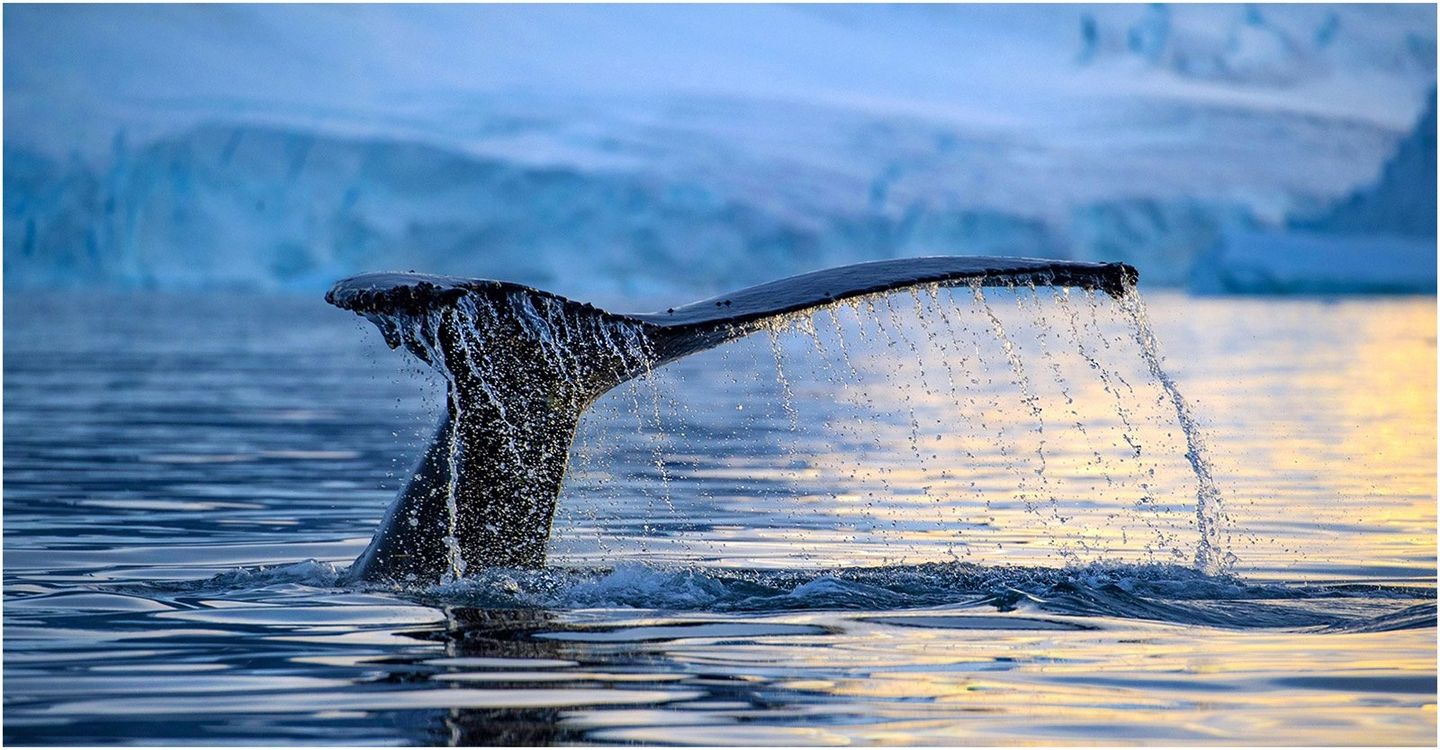 Aperture Woolwich Photographic Society