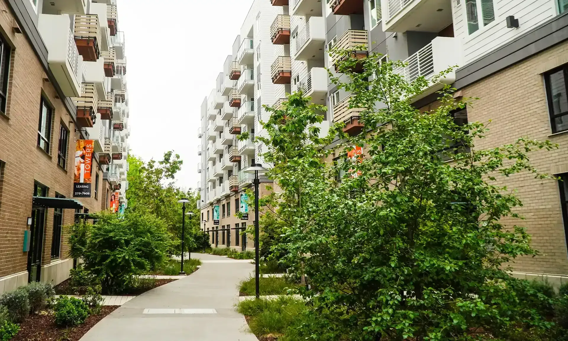 What are 'high density' and 'high density housing'?