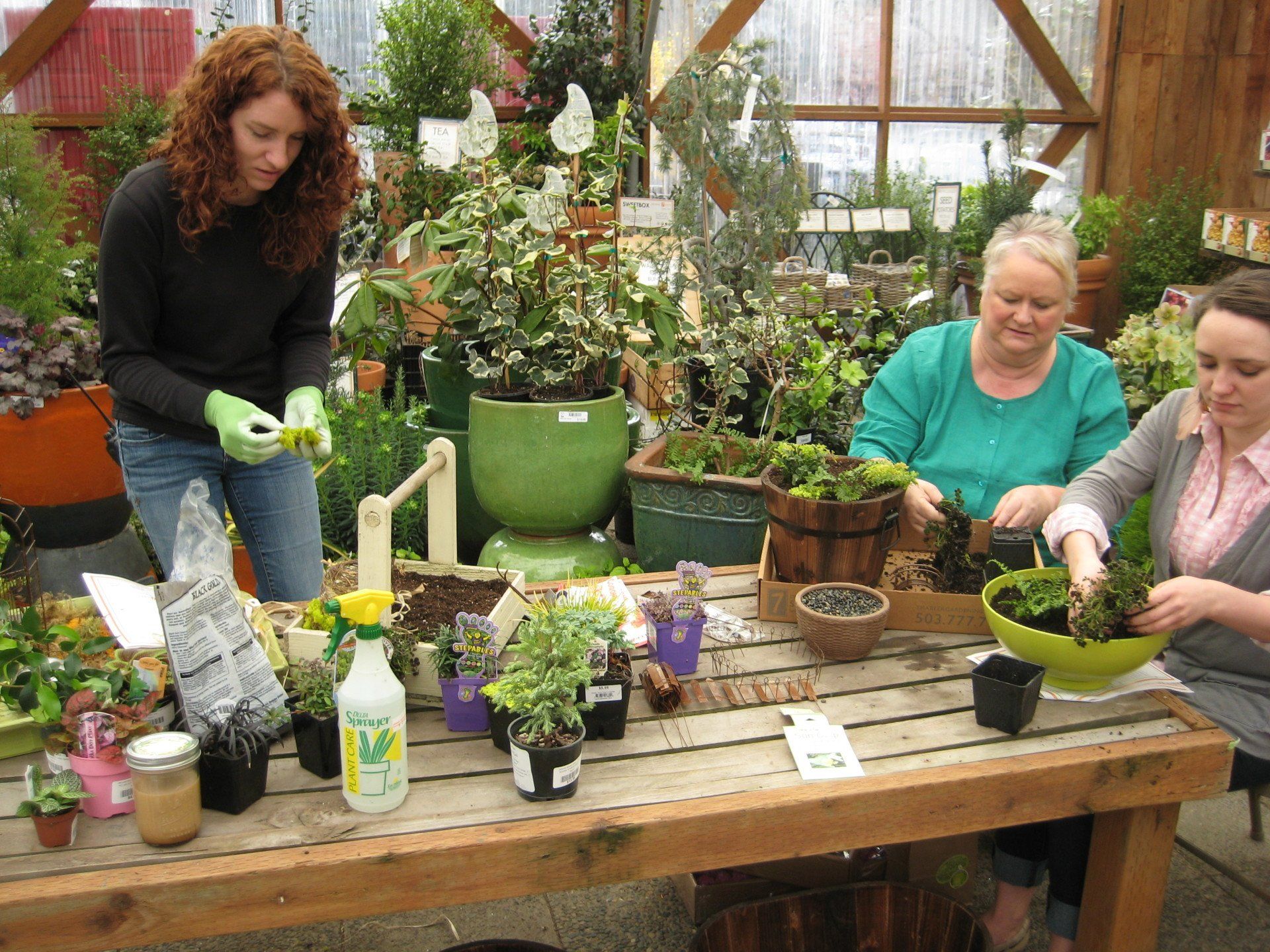 Sprague’s Nursery & Garden Center | Plant Nursery | Bangor, ME
