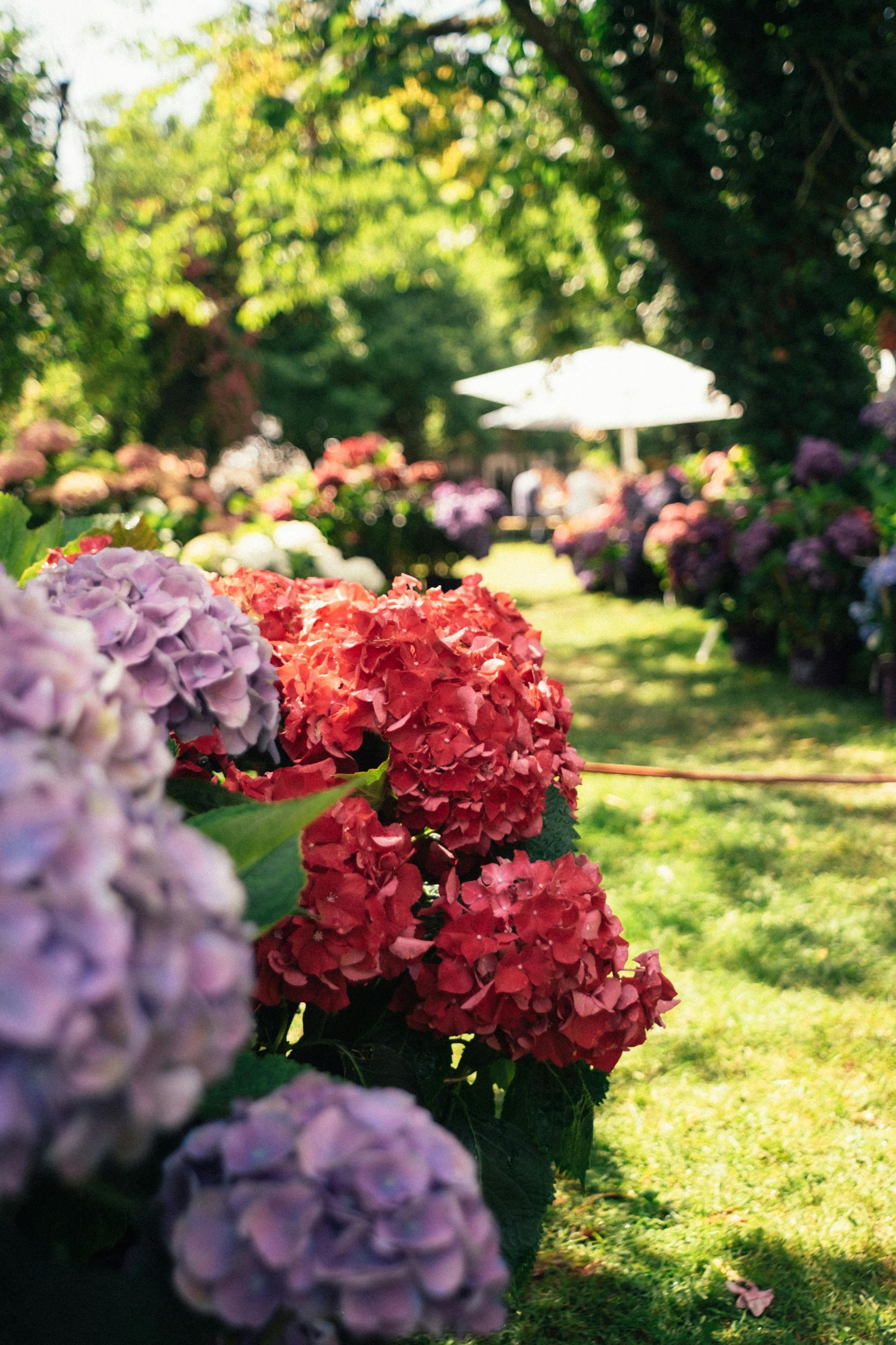 Sprague’s Nursery & Garden Center | Plant Nursery | Bangor, ME