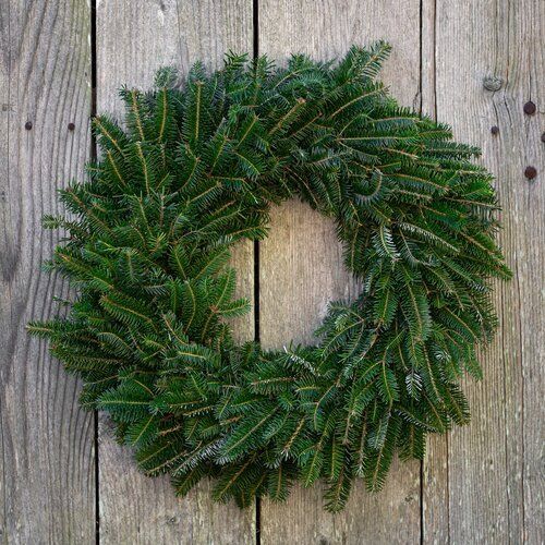 Sprague’s Nursery & Garden Center | Plant Nursery | Bangor, ME