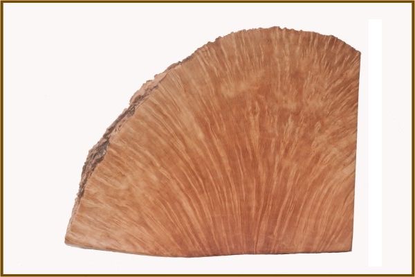 La stagionatura della radica