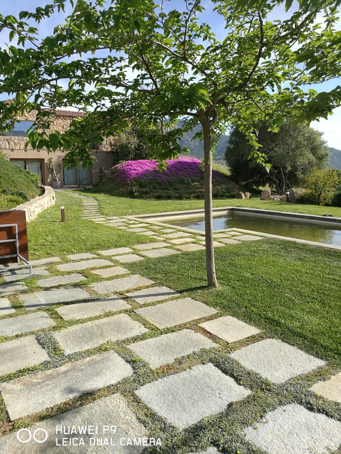 Creazione aree verdi | Olbia, SS | Roberto Casula Giardini