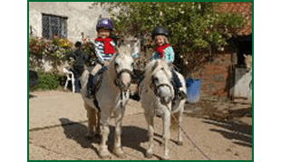 Horse Riding School - Twinstead | Twinstead Riding School