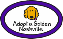 Adopt a Golden Nashville - Golden Retriever Rescue Organization serving ...