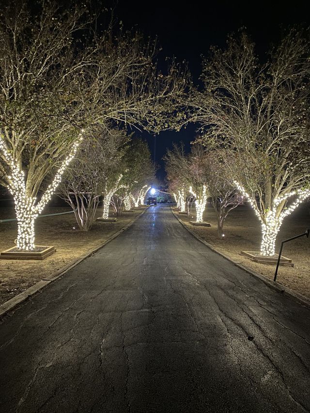 Austin Christmas Lights Installation