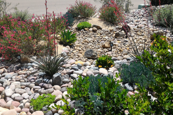 Austin Xeriscape Design Services Xeriscaping, Water Features For Small