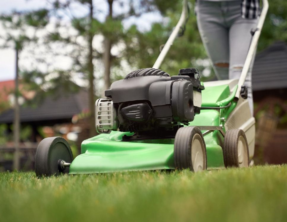 Lawn Maintenance | Winter Haven, FL | Rupertan
