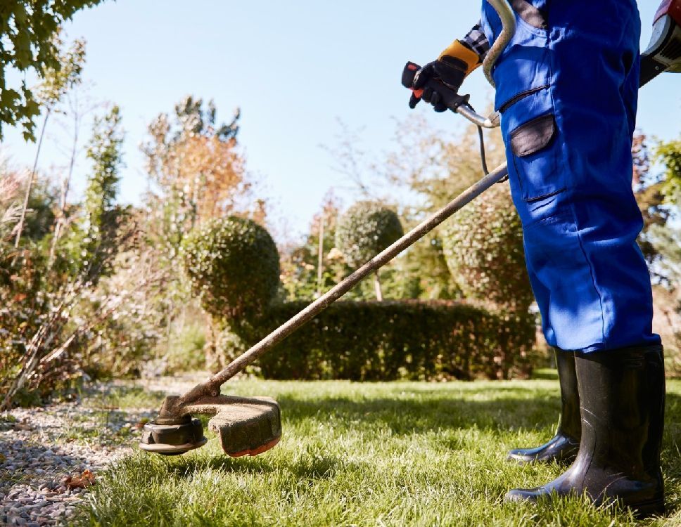 Lawn Maintenance | Winter Haven, FL | Rupertan