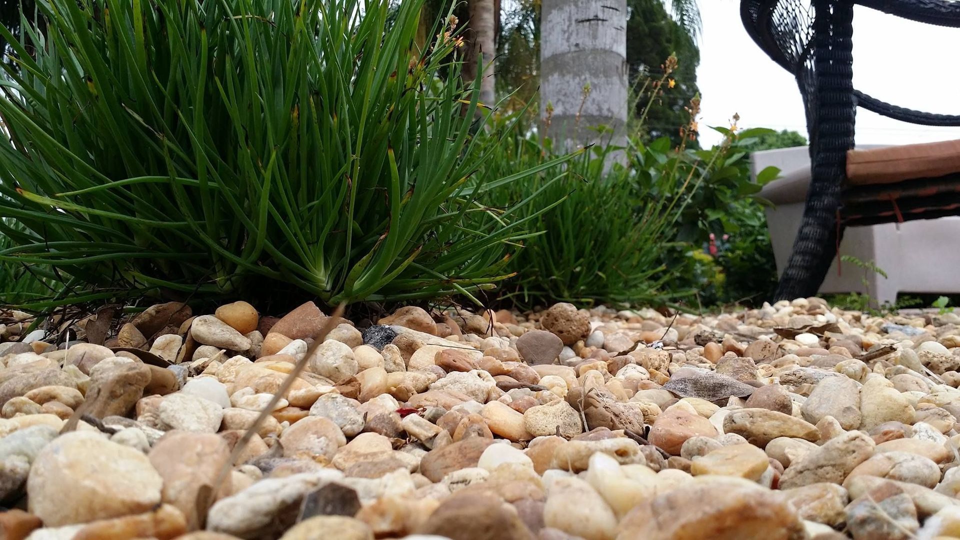 Landscaping Company | Winter Haven, FL | Rupertan