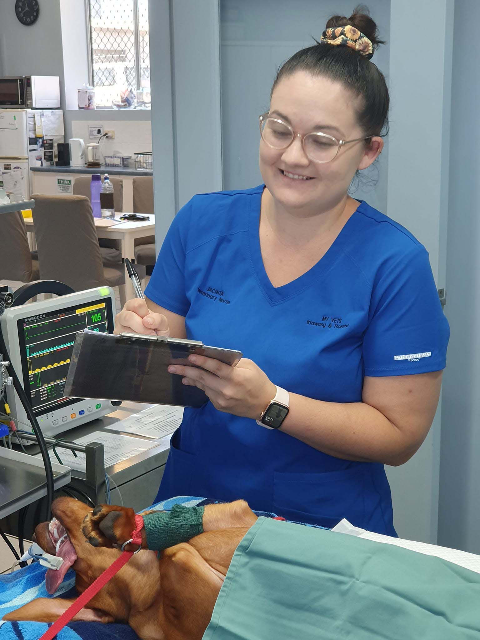 Gallery | Raymond Terrace, NSW | My Vets