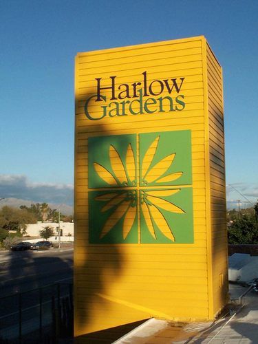 Custom Neon Signs | Tucson, AZ | Cook & Company Sign Makers