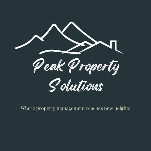 Peak Solution Logo