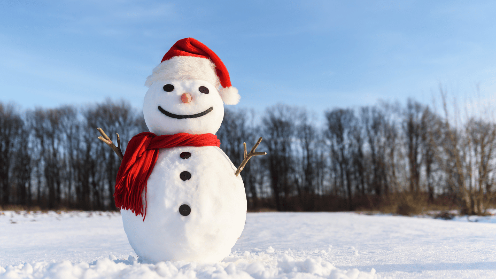 Crafting a Successful Financial Snowman