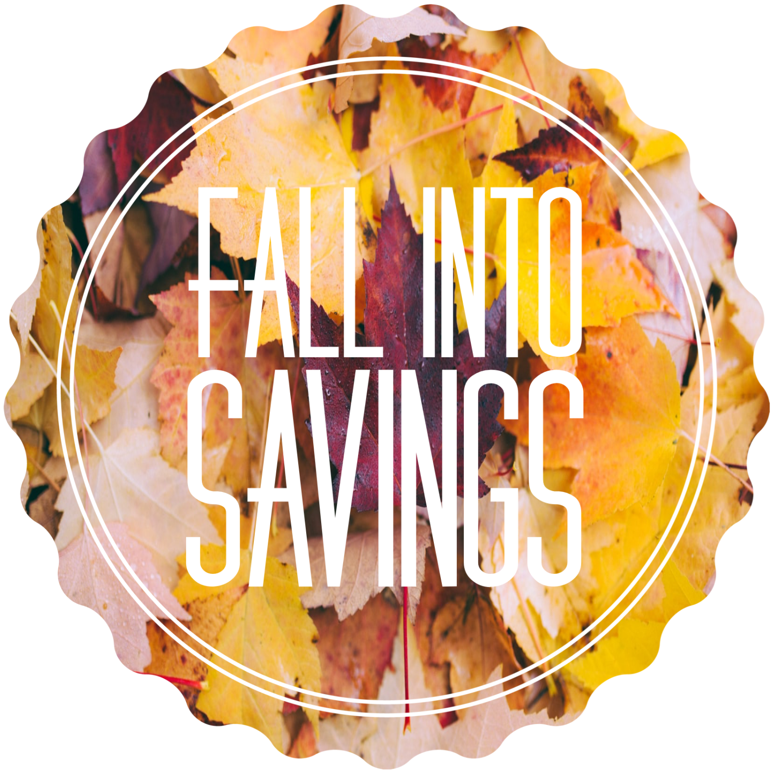 Fall Promo