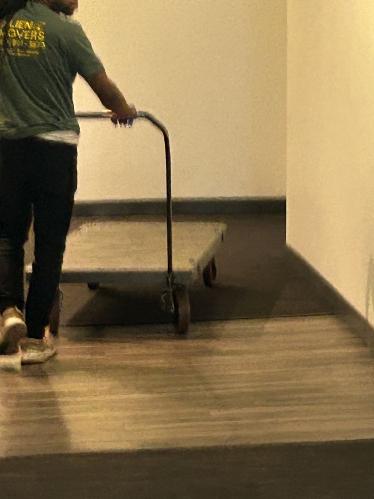 Alien Mover: Premier Philadelphia Moving Services