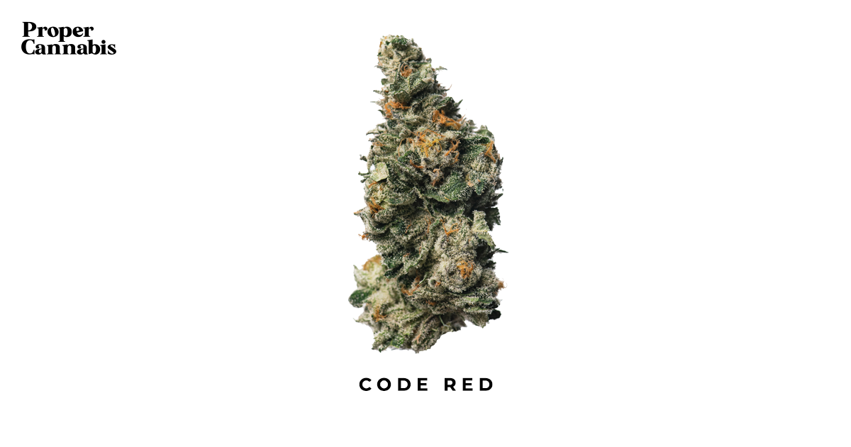 Code Red Strain | Proper Cannabis Code Red Strain | Proper Cannabis