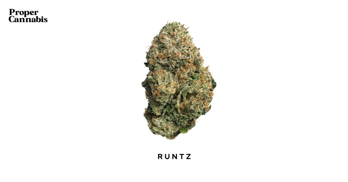 Runtz Strain | Proper Cannabis Runtz Strain | Proper Cannabis