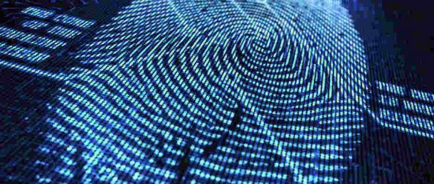 El resguardo de la información sensible de los colaboradores | NLT Secure