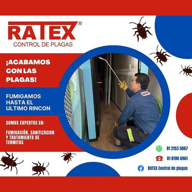 RATEX® - Control De Plagas