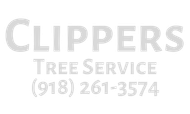 Tree Removal and Trimming | Clippers Tree Service
