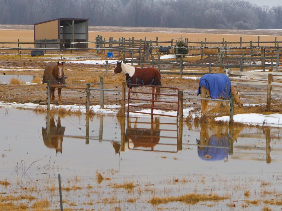 Welcome to Grid as New, Mud Control Grids where we make mud a memory ...