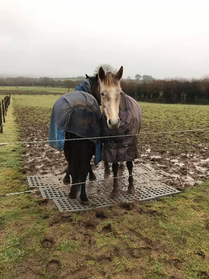 Mud Control Grids | Grid As New | 100% Recycled Plastic